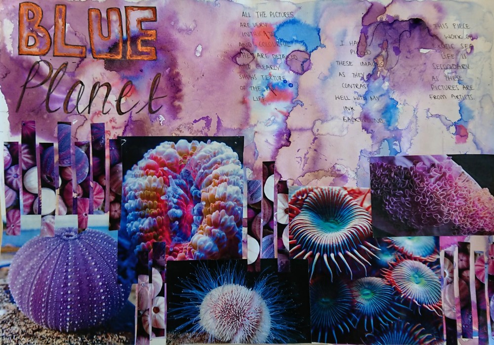 GCSE Art Scheme of Work: The Blue Planet – The Art Teacher
