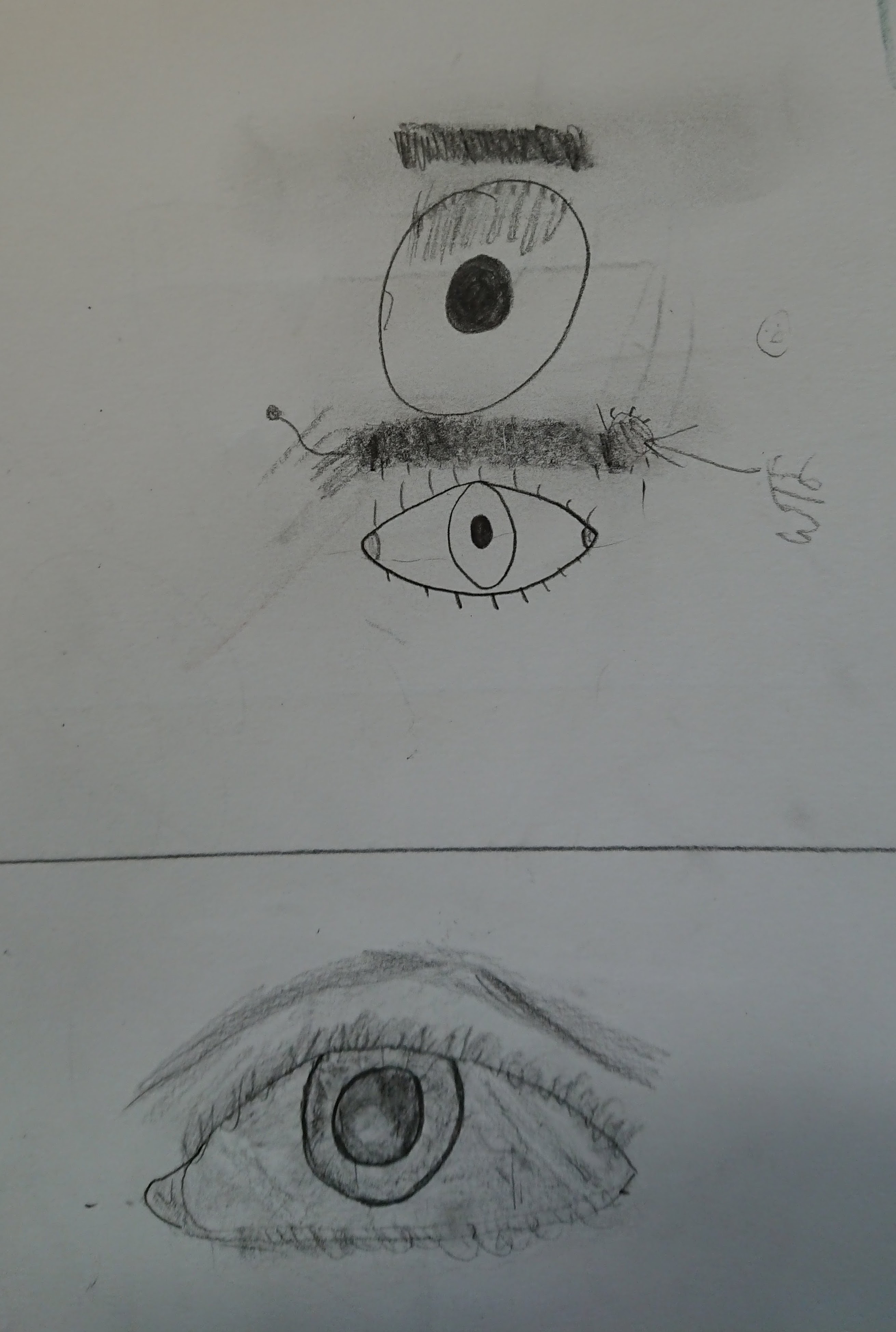 Ks3 Art Scheme Of Work: Observational Drawing – KFANO