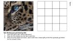 Grid Drawing Worksheets for Art Lessons – The Art Teacher
