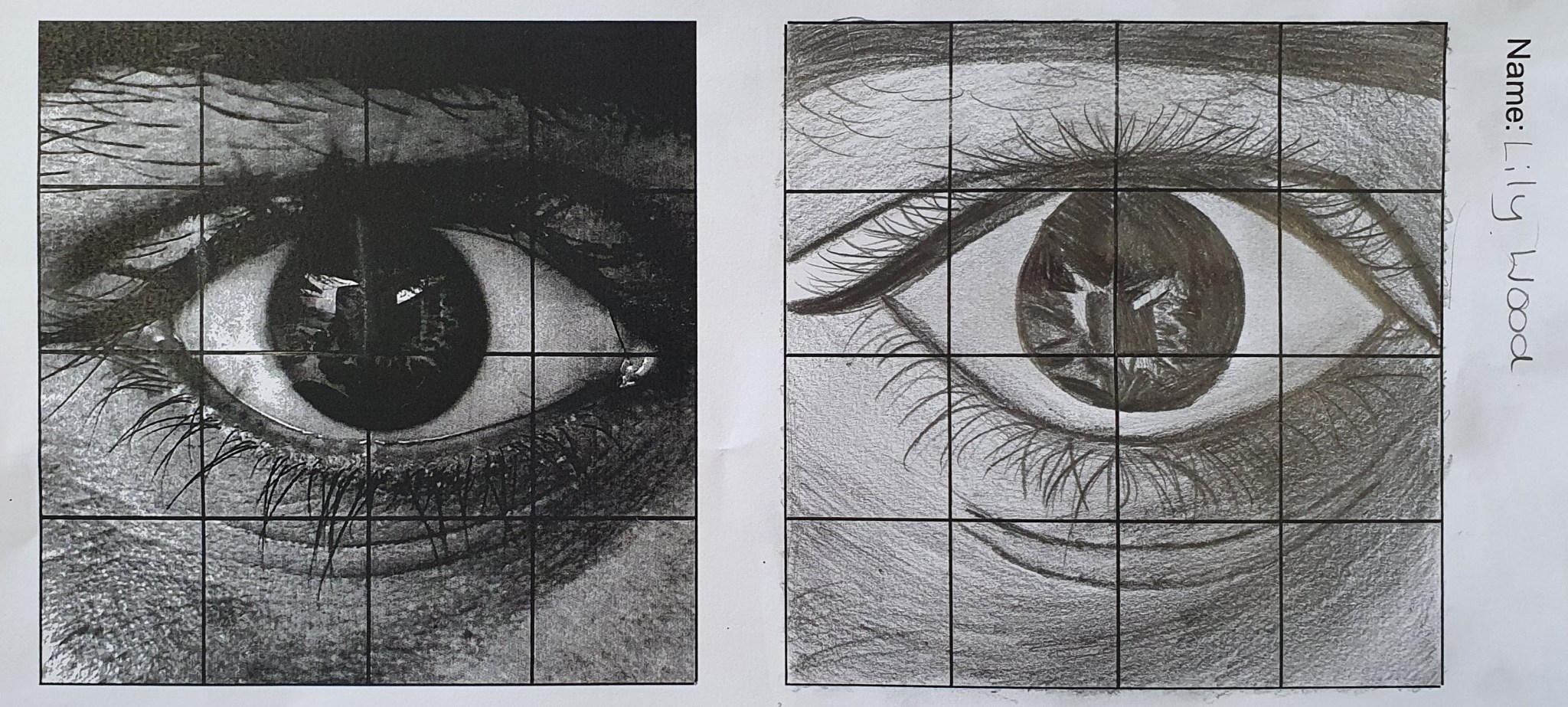 Grid Drawing Worksheets for Art Lessons – The Art Teacher