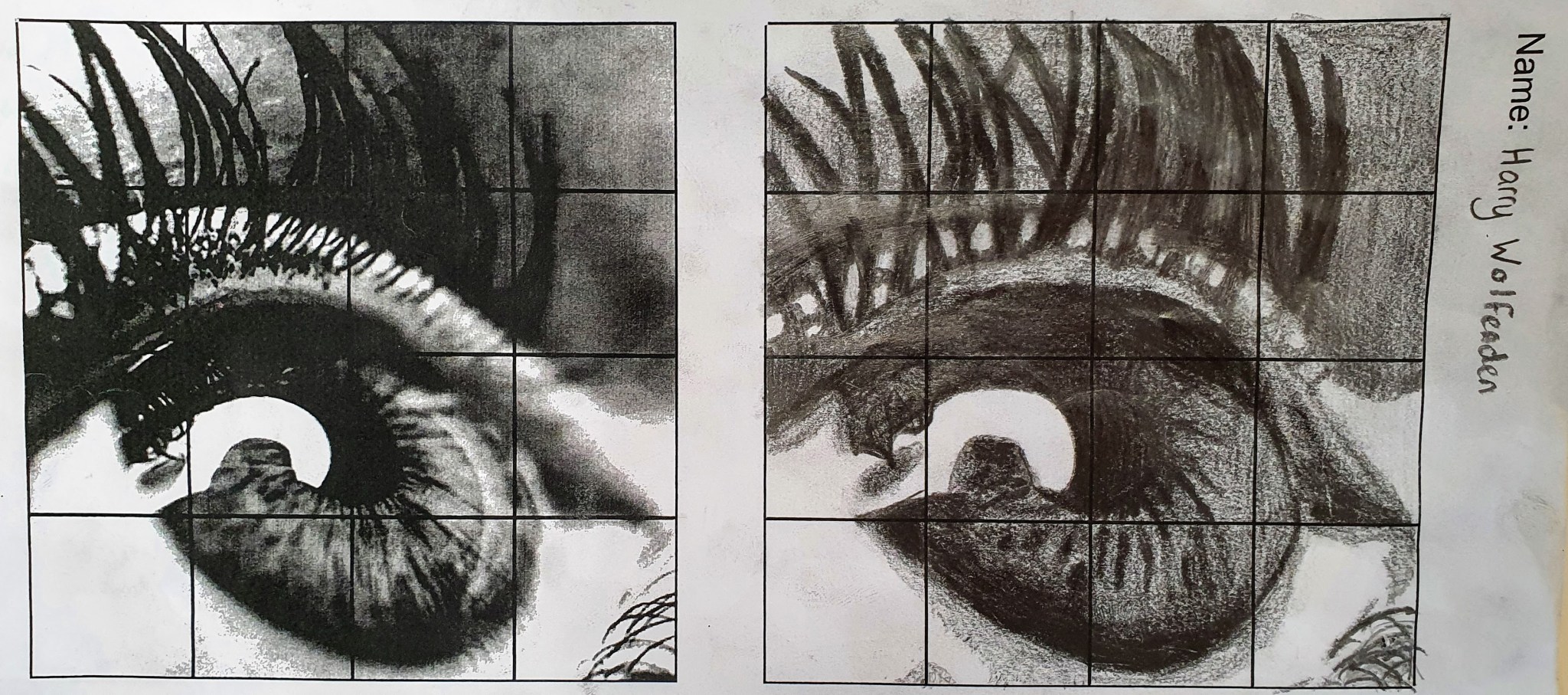 Grid Drawing Worksheets for Art Lessons – The Art Teacher