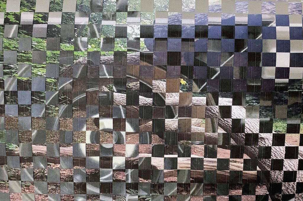 KS3 Mini Art & Photography Project – The Art Teacher